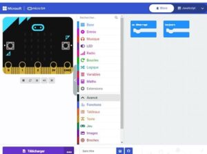 La carte Micro:bit